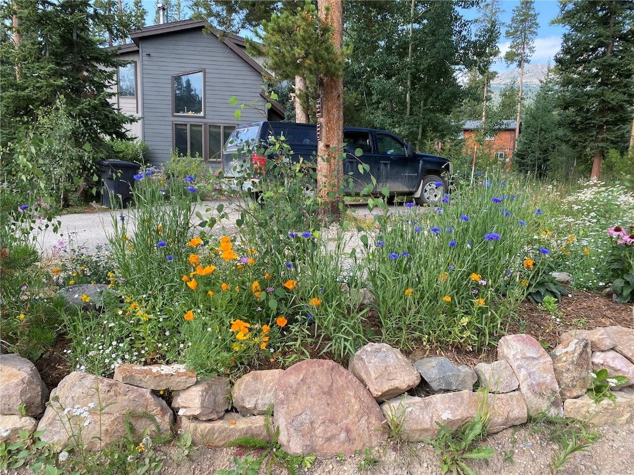 63 Lone Hand WayBreckenridgeCO