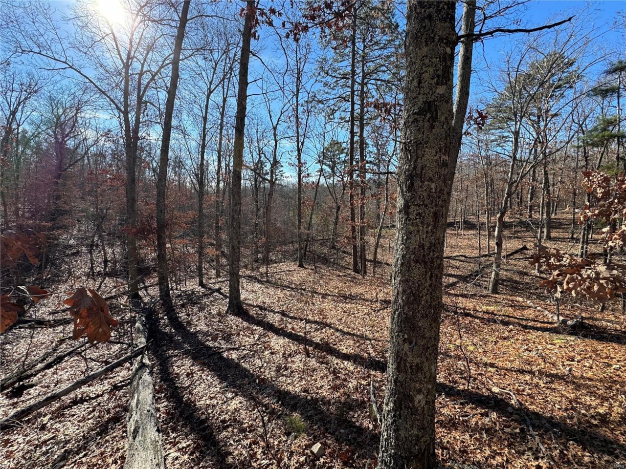 0 County Road 6280 in Jadwin, MO