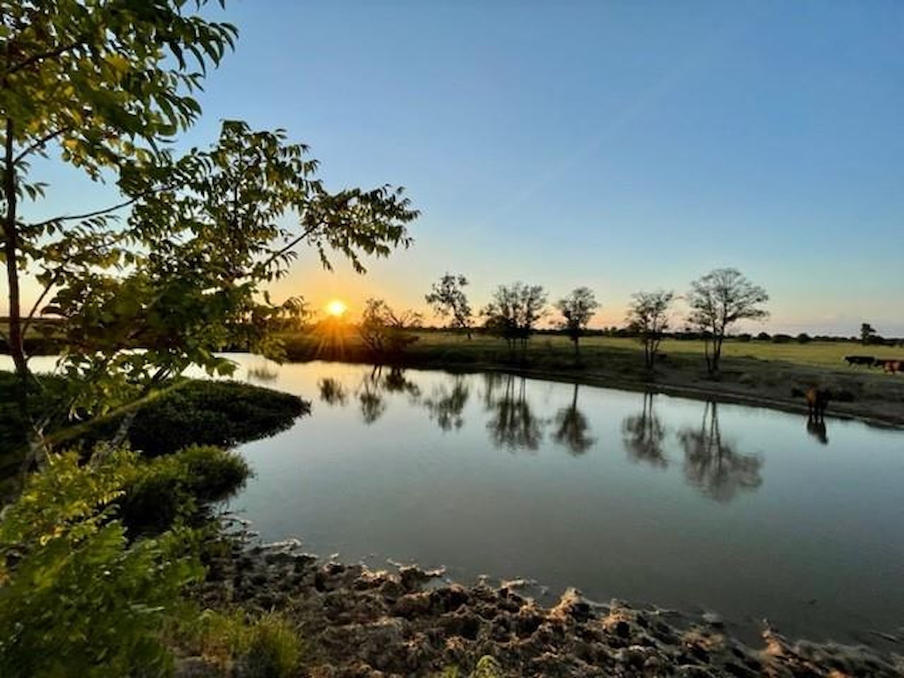 For sale TBD Cr 358 Gause, TX farm for sale