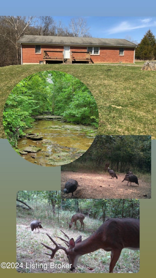 1743 Albert Moore Rd Lockport, KY 40036 | MLS 1656751