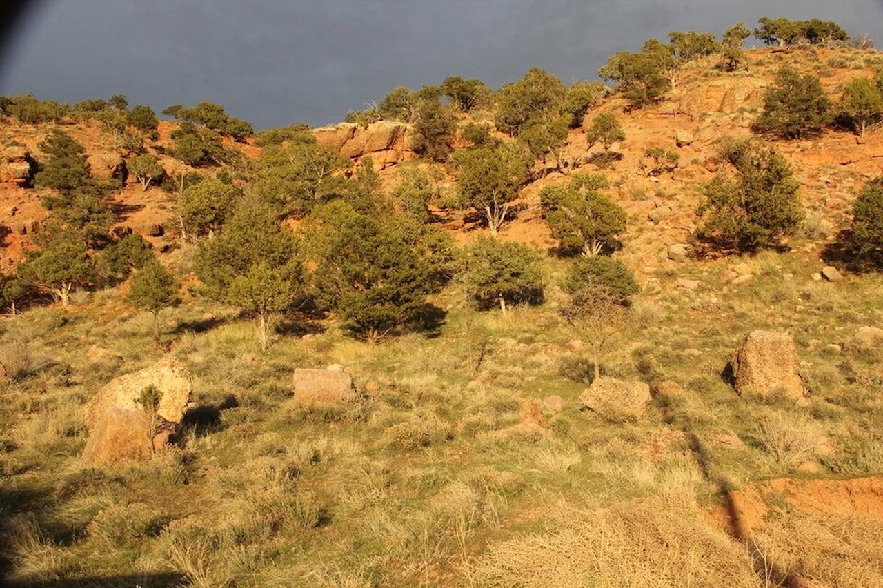 1478 N Foothill DR Paragonah, UT 84760 lot for sale, MLS#24-250267 ...