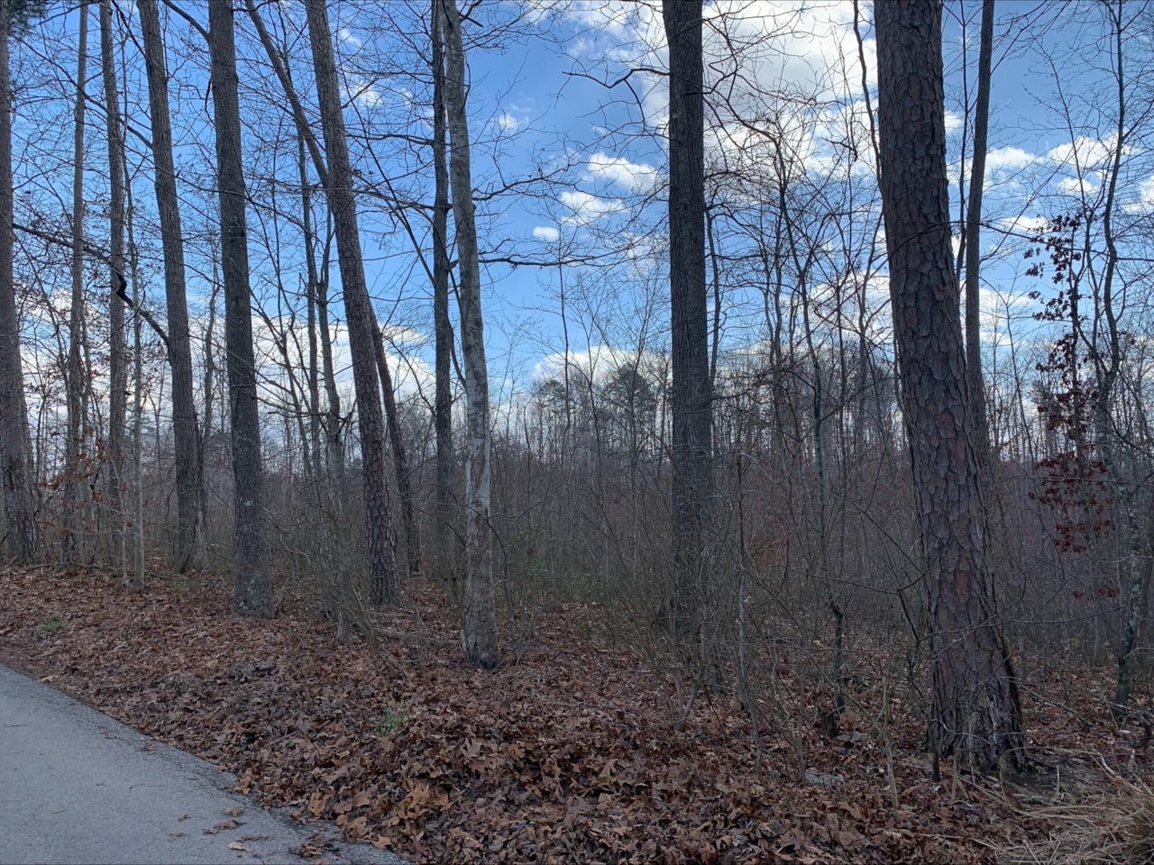 1541 Paris Karr Rd Keavy, KY 40737 | MLS #24008402