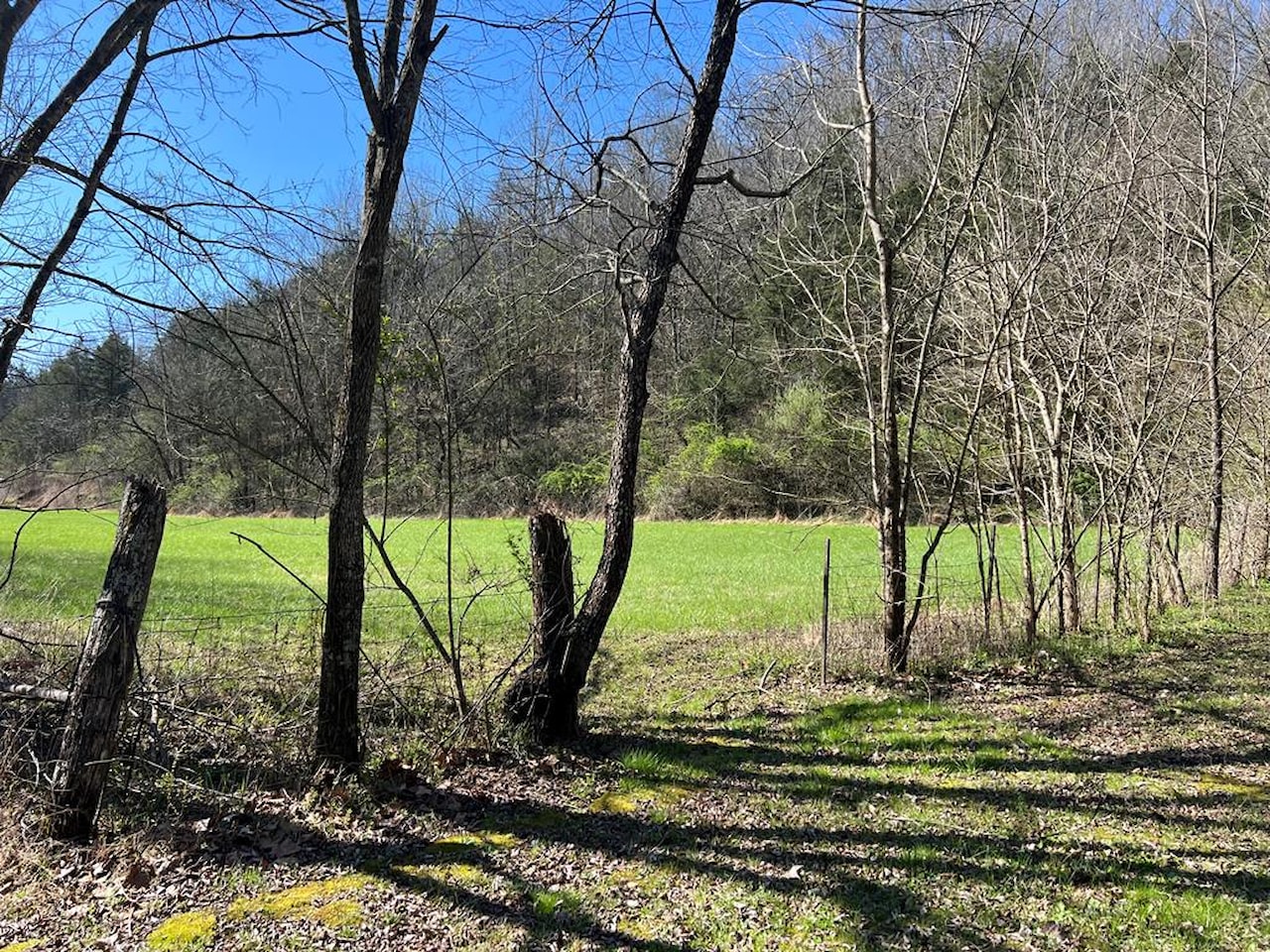 7.87 Ac Indian Creek Rd Whitleyville, TN 38588 | MLS 226241