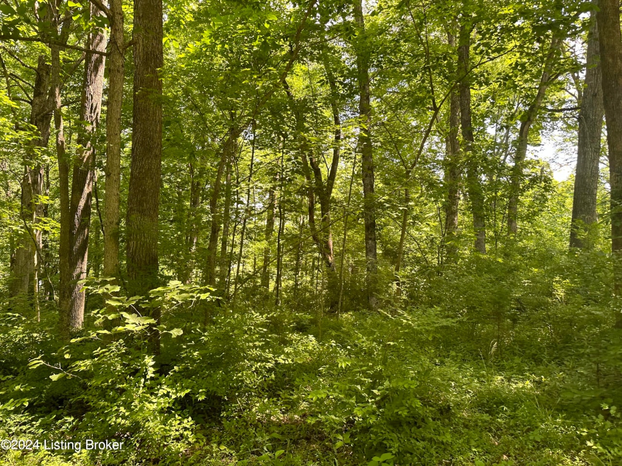 248 Maple Ct New Haven, KY 40051 | #1661415 | Melody Lake | $20,000