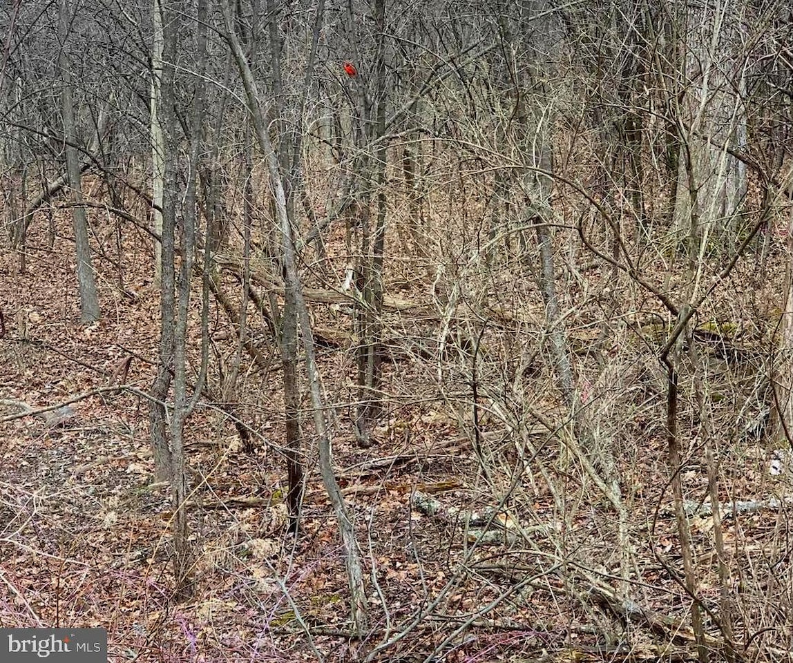Lot on Oldside Rd Clarence, PA 16829 | lot for sale | KBB