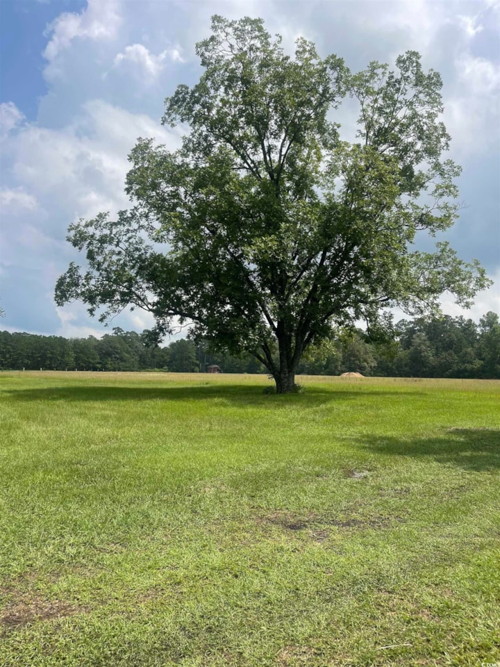 TBD Gurley Rd. Loris, SC 29569 | MLS 2418568