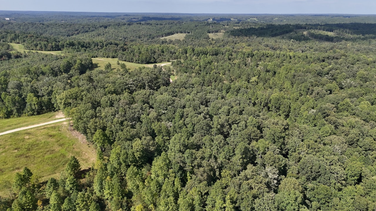 0 Freedom Ridge Indian Mound, TN 37079 | MLS 2697935
