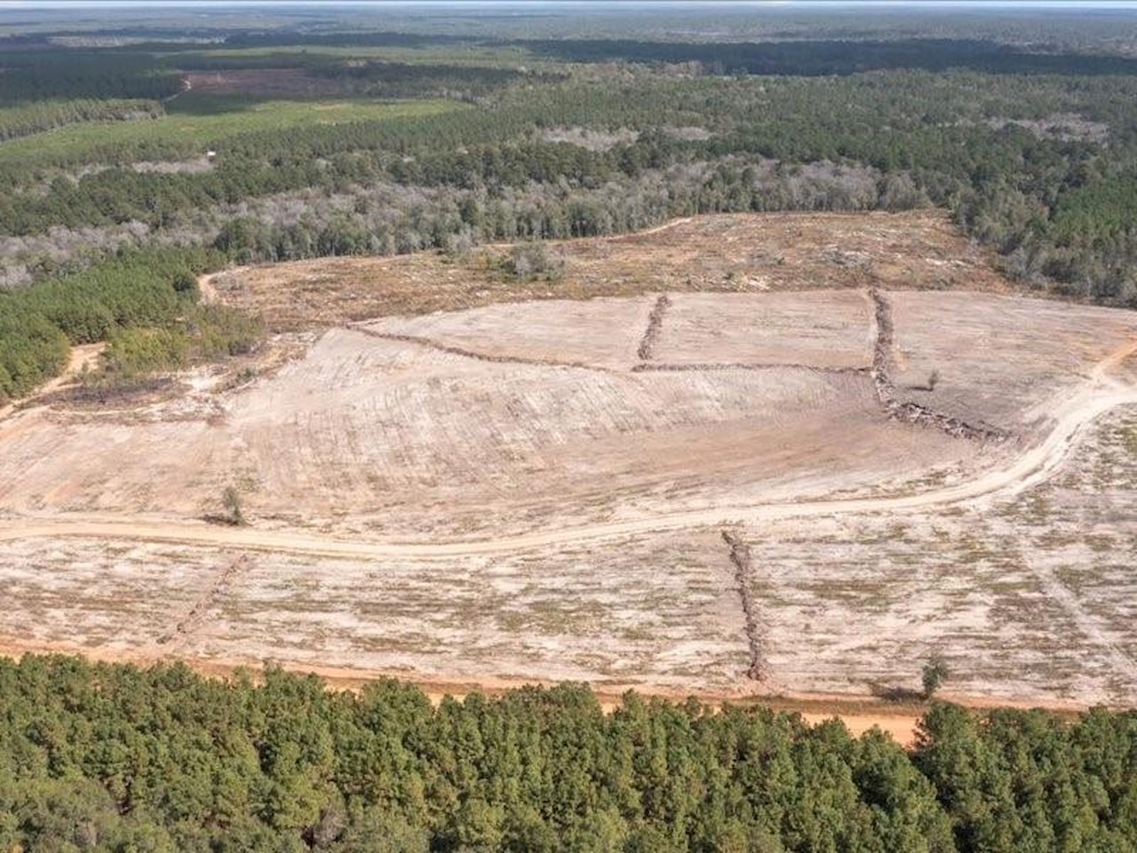 For sale 10 TBD Segno Fire Ln Rd Livingston, TX lot for sale