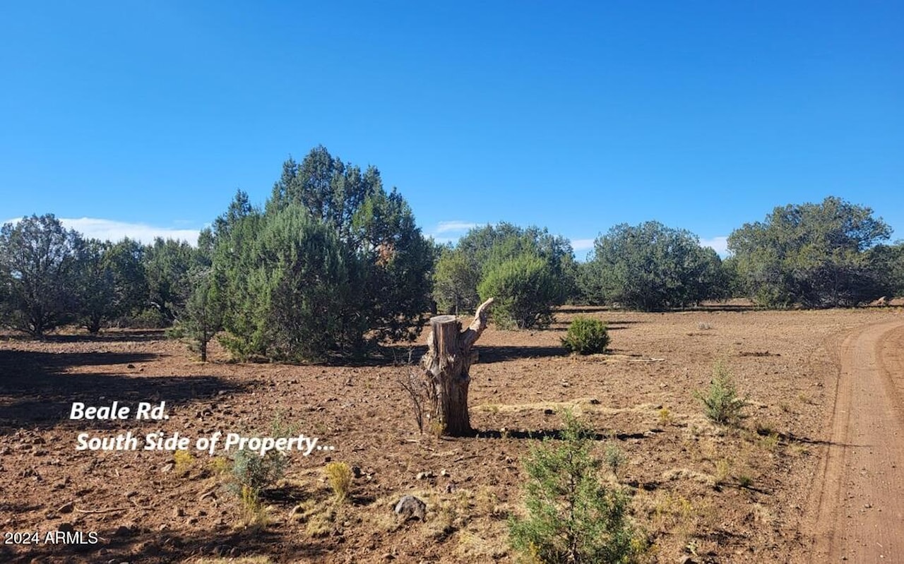 16727 Beale Wagon Rd Williams, AZ 86046 | MLS 6776740