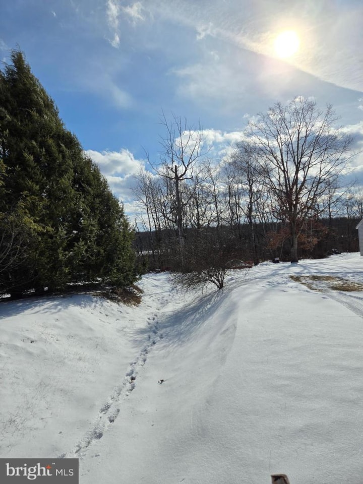 0 Moshannon Ave Snow Shoe, PA 16874 | lot for sale | KBB