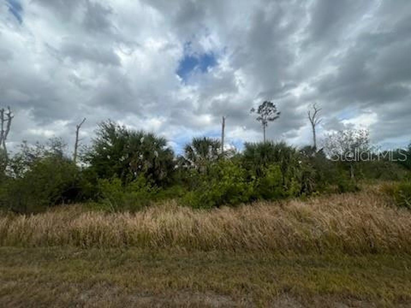 Cardon St, North Port, FL 34288 - MLS # OK224994