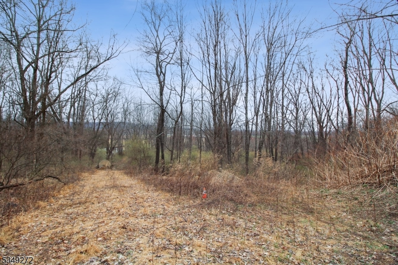 159 Alphano Rd Independence Twp., NJ 07838 | MLS 3955394