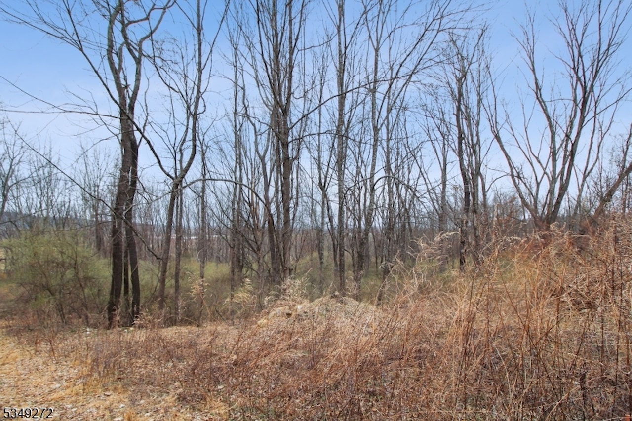 159 Alphano Rd Independence Twp., NJ 07838 | MLS 3955394