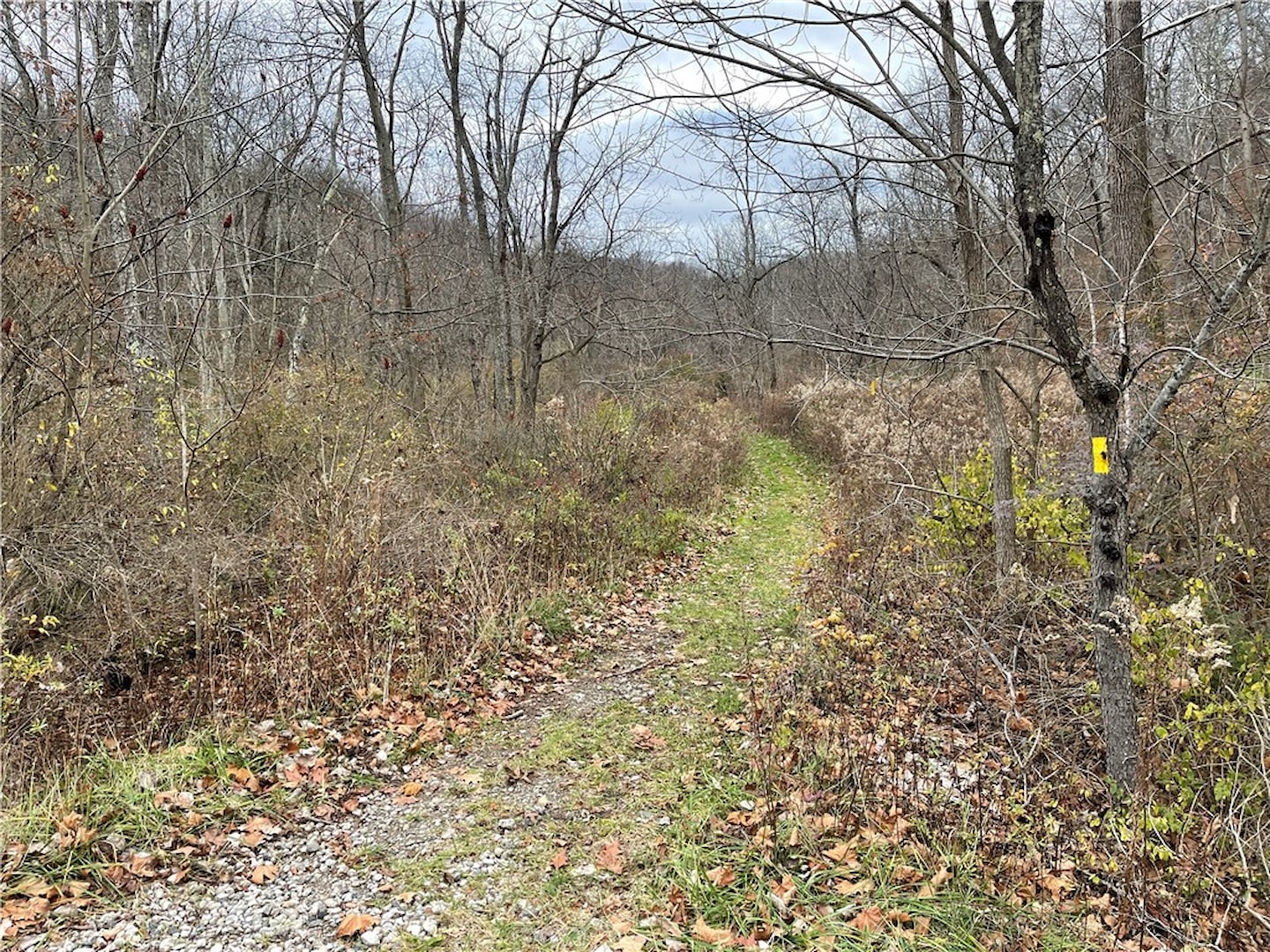 LOT Burtner Rd, Natrona Heights, PA 15065 - MLS #1700665
