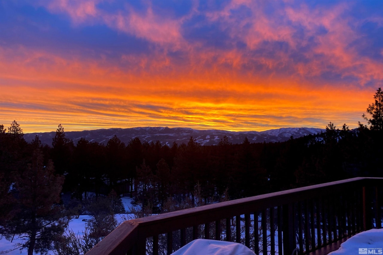 1695 Green Ash Rd Reno, NV 89511 | MLS 250001390