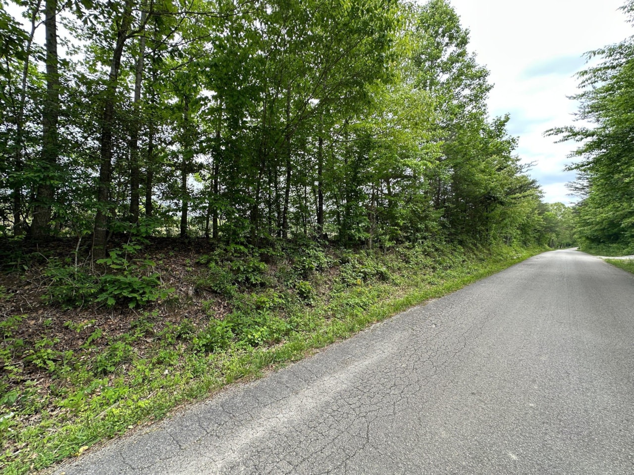 1802 River Road Rd Williamsburg, KY 40769 | MLS #25010400