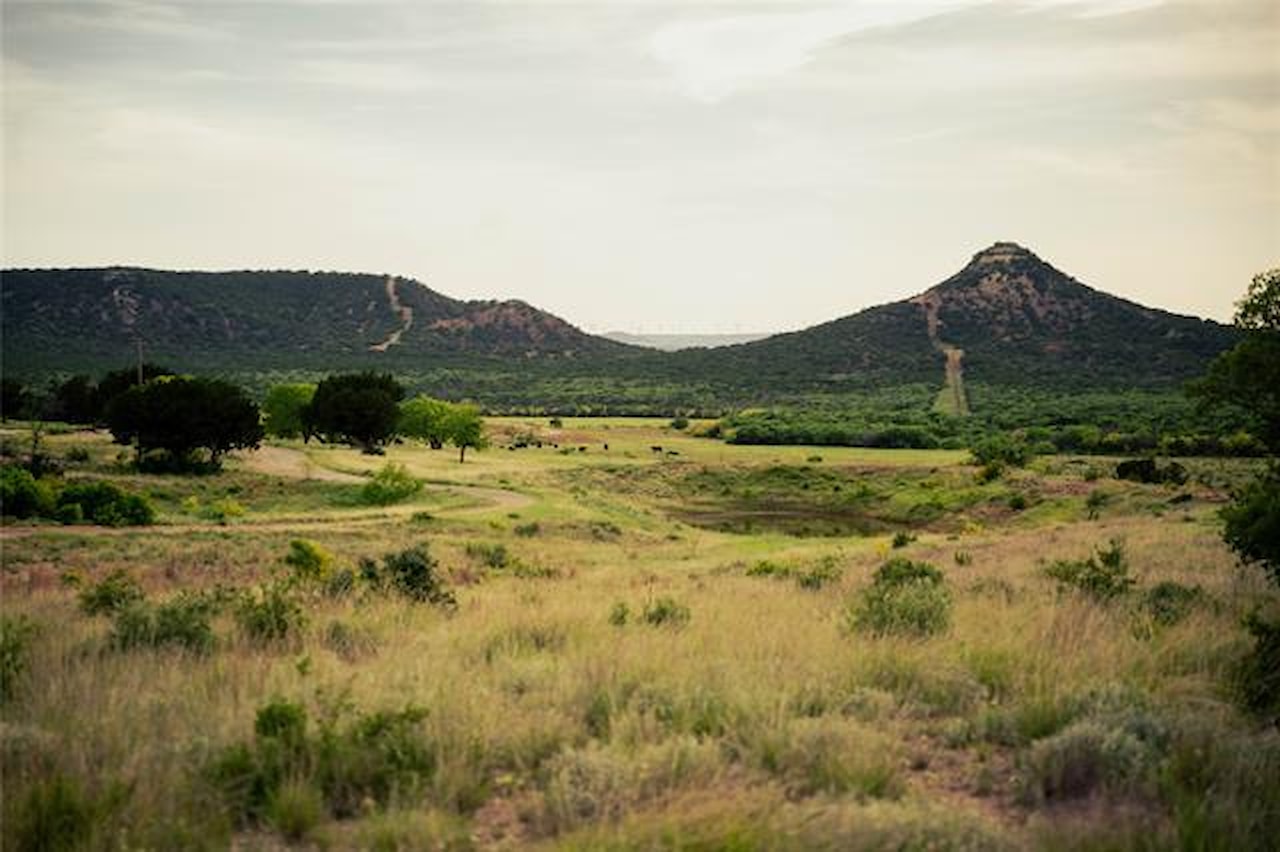 For sale 718 W CR 301 Merkel, TX farm for sale