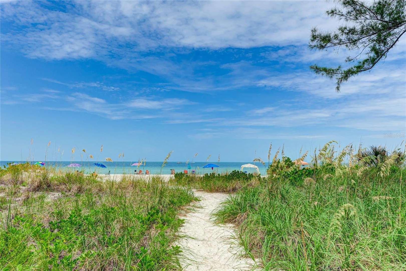 2310 Gulf Dr N #104 Bradenton Beach, FL 34217 | MLS A4655396