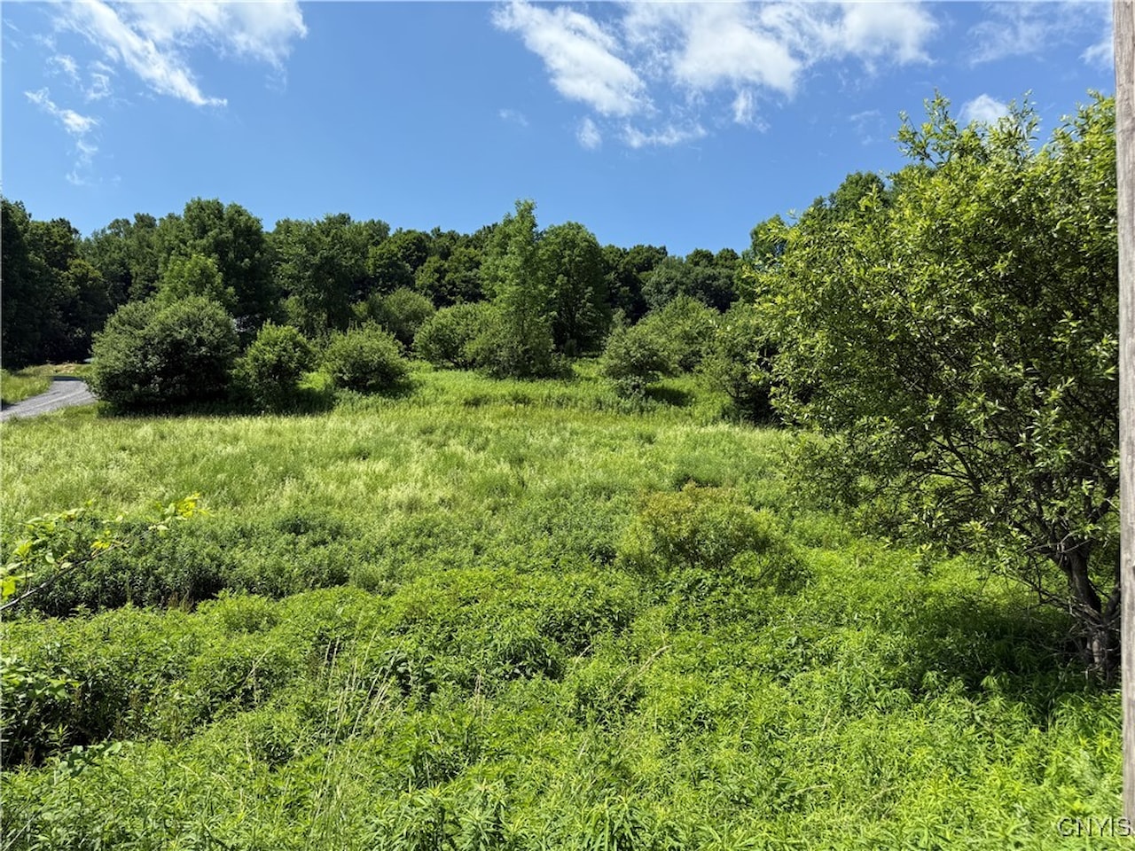 6632 Turin Rd Turin, NY 13473 | MLS S1621724
