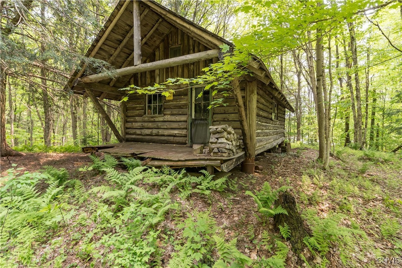 4452 Beecher Rd Constableville, NY 13325 | MLS S1613035