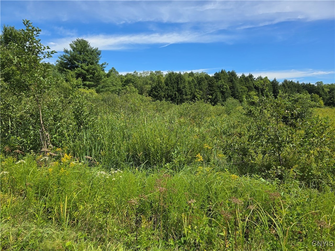 Hayes Rd Camden, NY 13316 | MLS S1631392