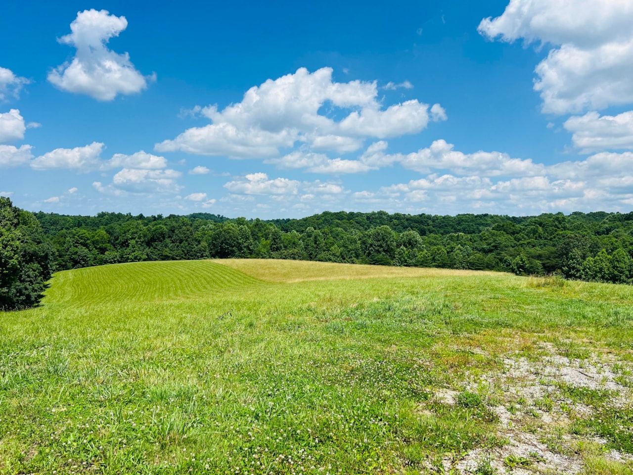 17.05ac Beech Grove Rd Jabez, KY 42544 | MLS 24011741