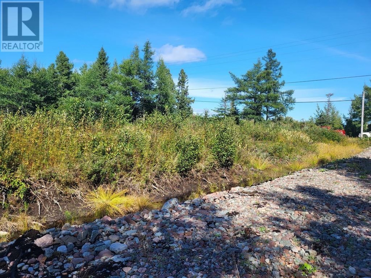45 Main Street Northern Arm, NL A0H1E0 | MLS 1290421