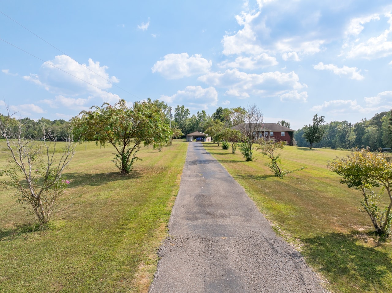 1354 Brandon Rd Huntingdon, TN 38344 | MLS 2998306