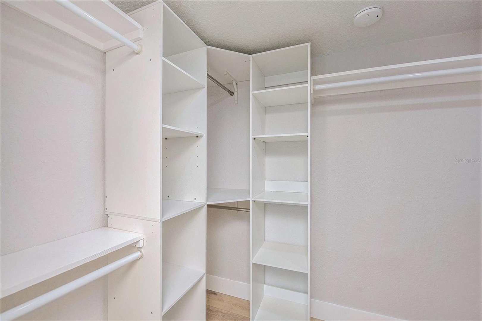 8718 N Brooks St Tampa, FL 33604 | MLS TB8438677