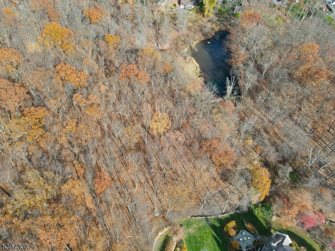 99 A Taylortown Rd Montville Twp., NJ 07005 | The Maggee Miggins Group
