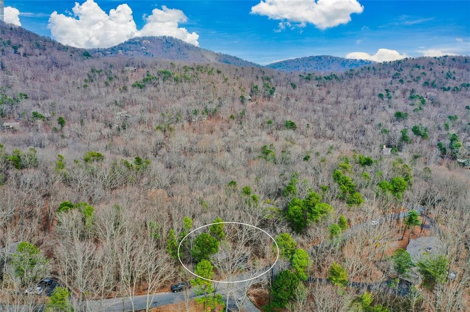 80 Mountain Mint Drive, Big Canoe, GA 30143, | MLS# 7709208 | For Sale