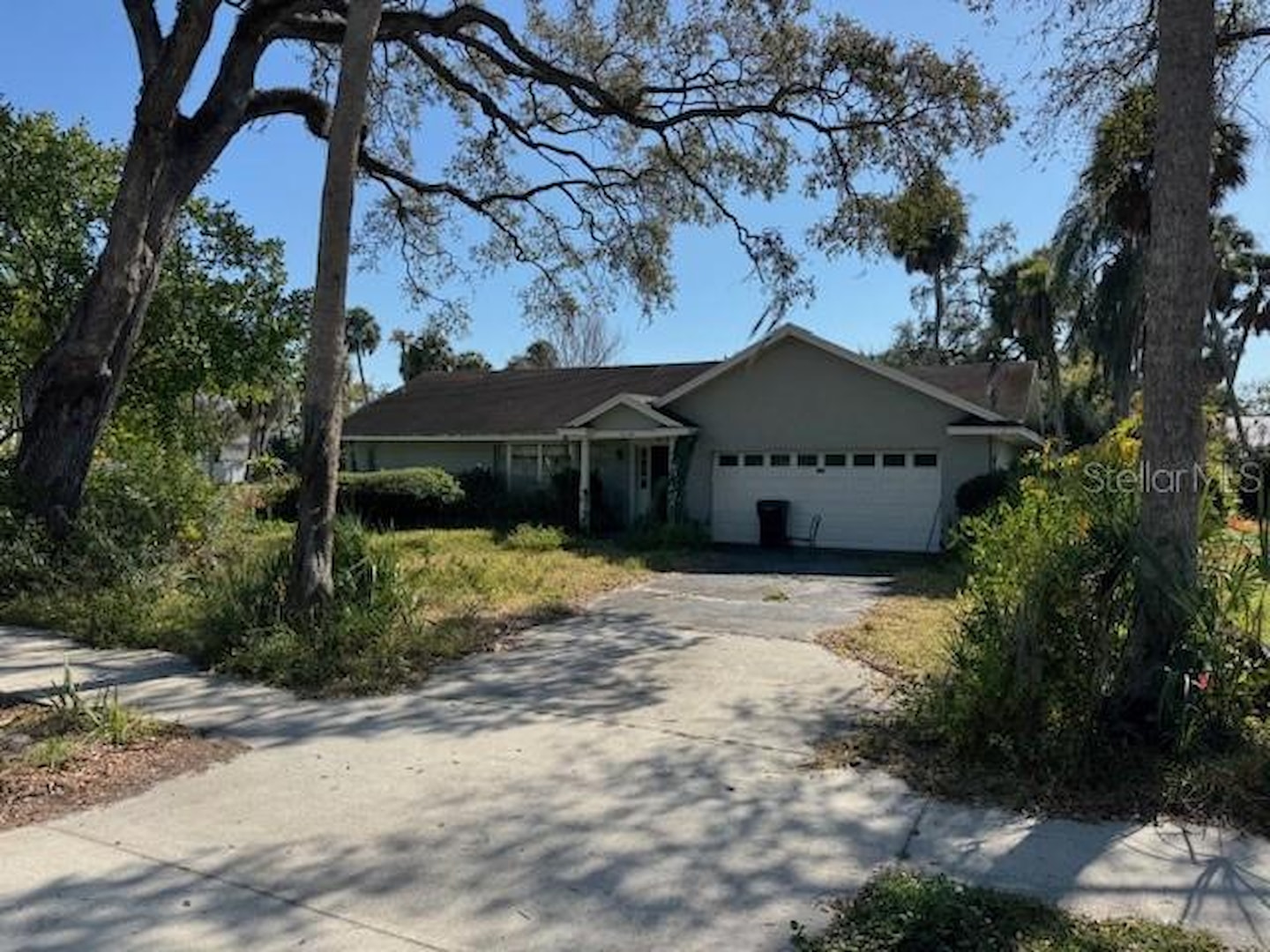 4704 W Estrella St Tampa, FL 33629 | MLS TB8468295