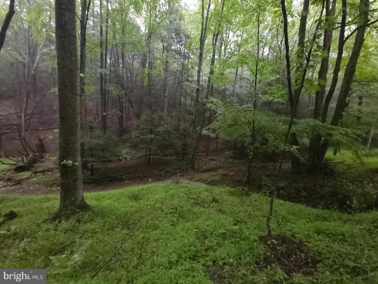 0 Spriggle Rd Elliottsburg, PA 17024 lot for sale, MLS#PAPY2008808 ...