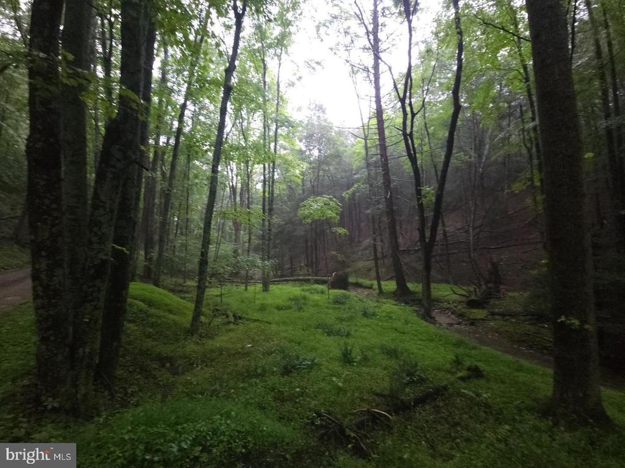 0 Spriggle Rd Elliottsburg, PA 17024 lot for sale, MLS#PAPY2008808 ...