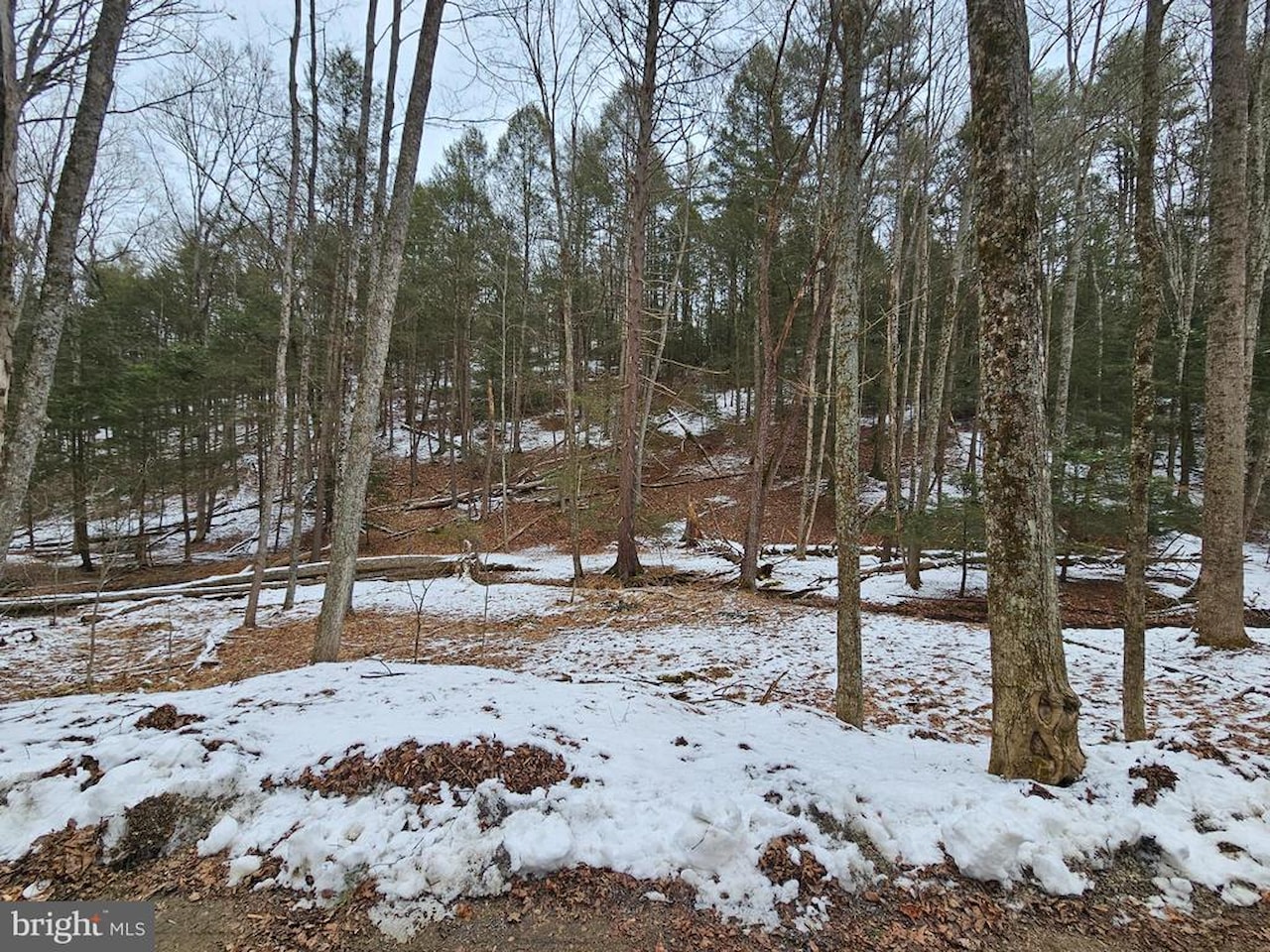 0 Spriggle Rd Elliottsburg, PA 17024 lot for sale, MLS#PAPY2008808 ...