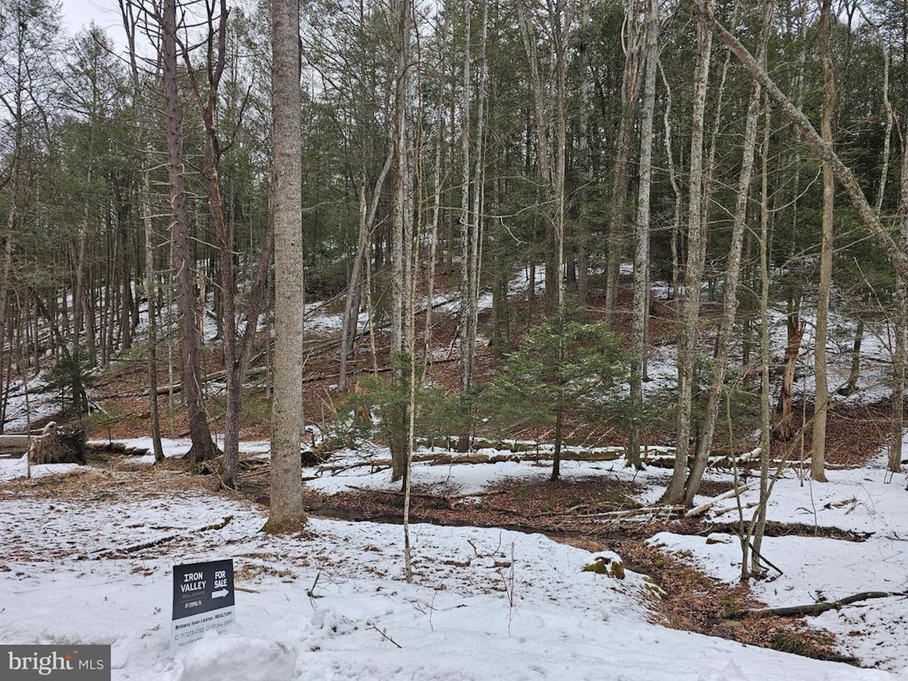 0 Spriggle Rd Elliottsburg, PA 17024 lot for sale, MLS#PAPY2008808 ...