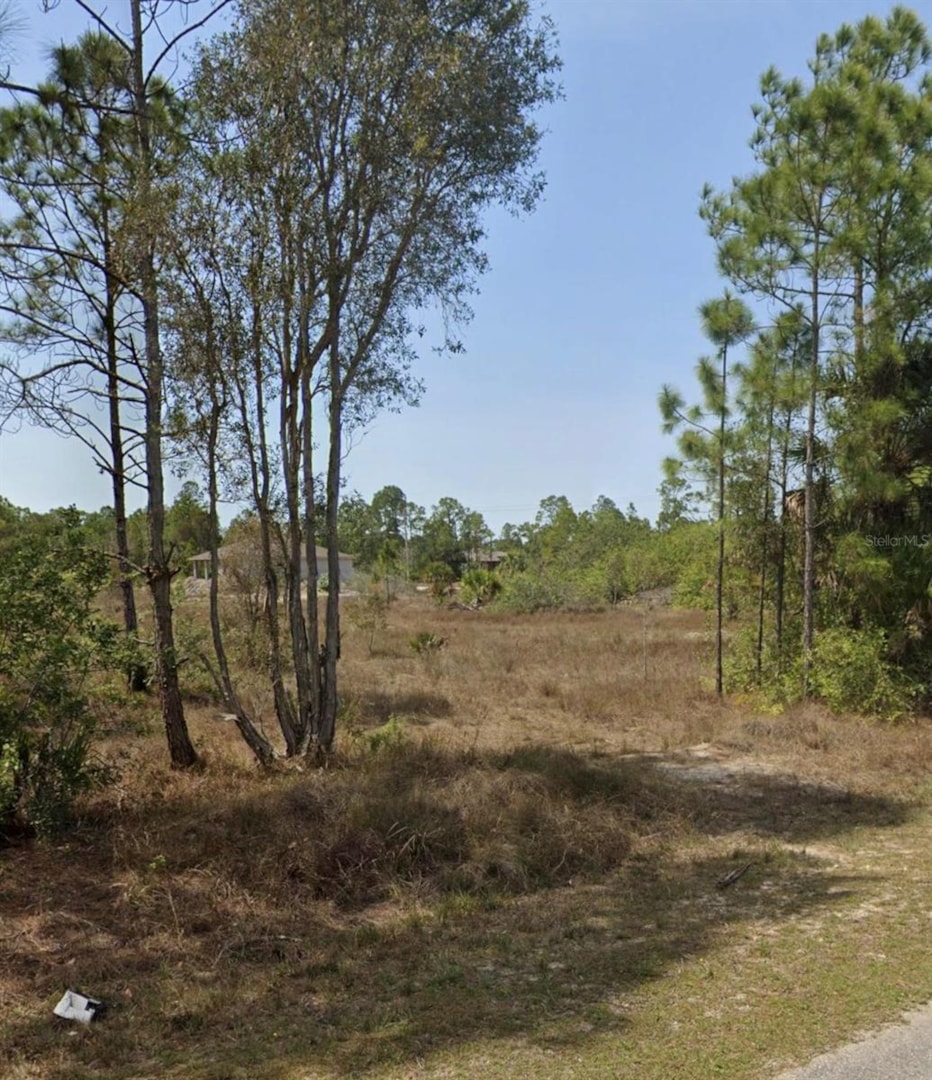 919 Euclid Ave, Lehigh Acres, FL | $30,000 | lot for sale