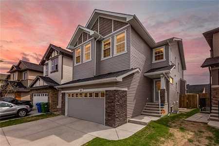 Skyview Ranch - Calgary NE Homes for Sale