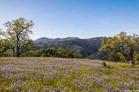 Homes For Sale In Carmel California | Carmel CA Real Estate