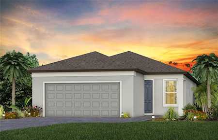Homes for Sale in Del Webb Bexley of Land O Lakes