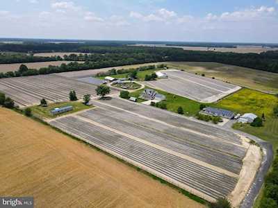Delaware Farms, Agricultural for Sale | Agricultural Farms Real Estate ...