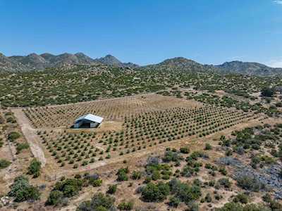 5 Reasons Ranchita San Diego is a Great Place to Live in 2023 | 2024