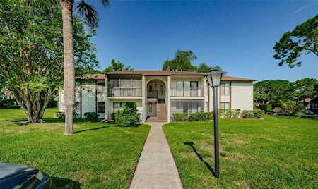 Pine Ridge 55+ Condos For Sale Palm Harbor FL Real Estate