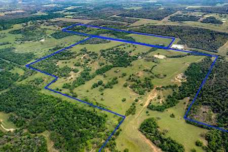 Milam County, Texas Land & Ranches for Sale