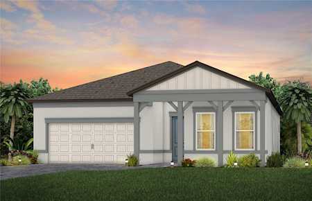 Homes for Sale in Del Webb Bexley of Land O Lakes
