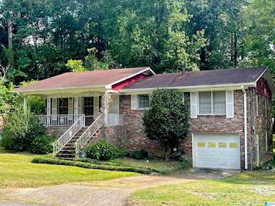 Ashly Carr | GustyGulasGroup.com