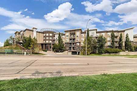 Arbour Lake Homes for Sale: Your Gateway to Arbour Lake Real Estate