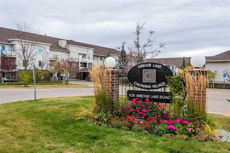 Houses For Sale Near Arbour Lake School