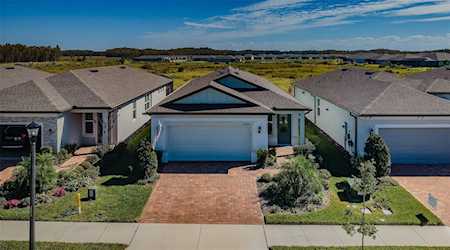 Homes for Sale in Del Webb Bexley of Land O Lakes