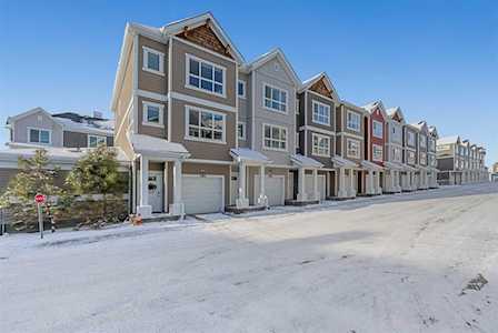 Trinity Nolan Hill Townhomes for Sale